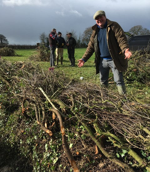 Hedging as an Investment Strategy – Ashridge Nurseries