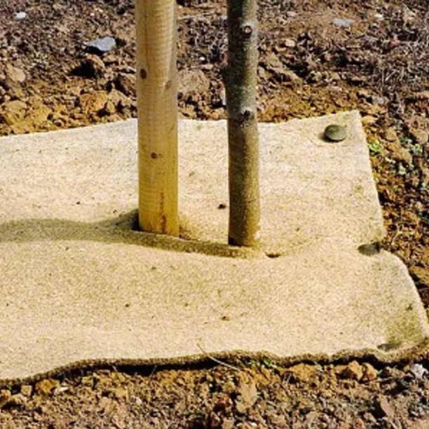 Biodegradable Mulch Mats – Jute for Newly Planted Trees
